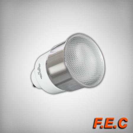 FEC-CFL-9w
